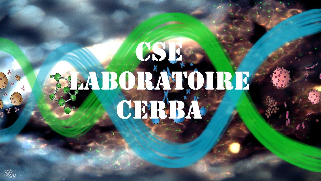 CSE Laboratoire CERBA